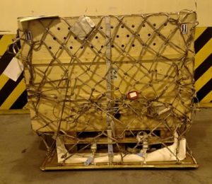 Custom/Modified Shipping Crates - Pet Air Carrier, LLC